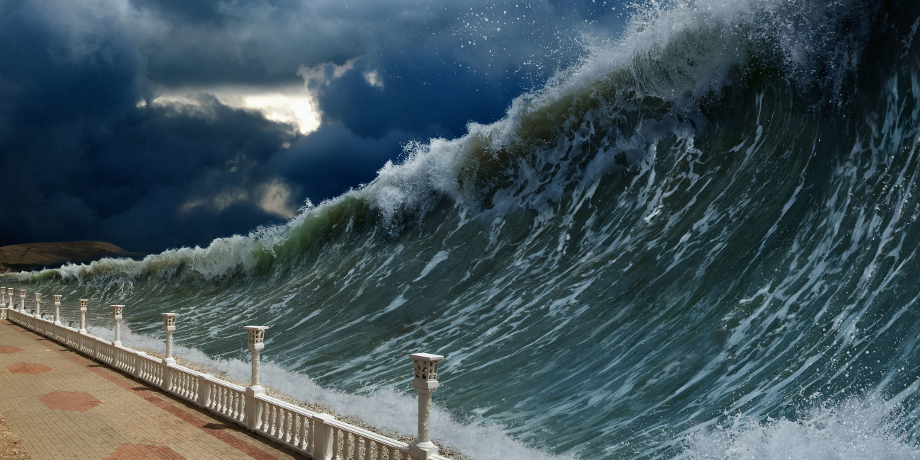 The Silver Tsunami Represents an Incredible, Once in a Lifetime ...