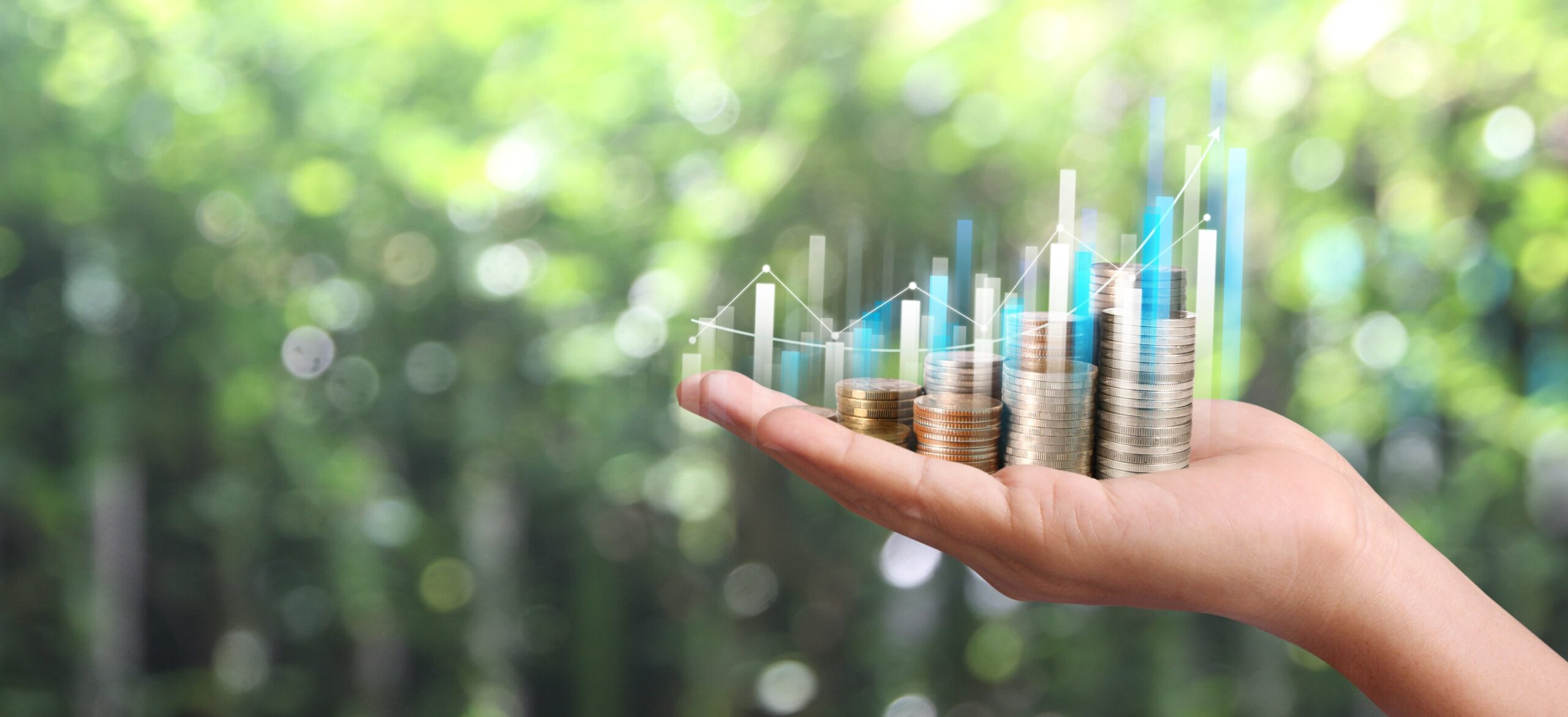 Nonprofit Vs. For-Profit Senior Living: Which Is Better? - Senior ...